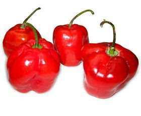 Beneficios del Rocoto - NatuVida Salud