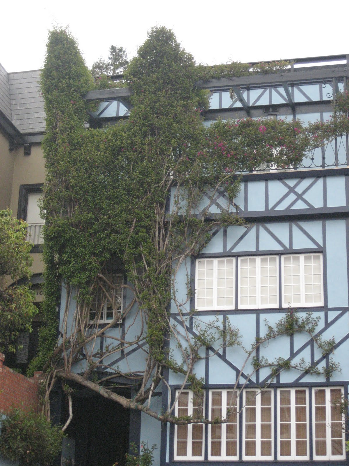 Make True the Dreams of Your Youth: Things I Love Today: Houses with Vines