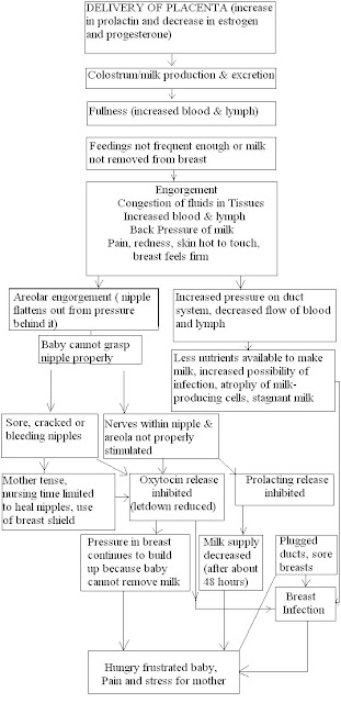 Aruban Breastfeeding Mamas: Progression of Engorgement
