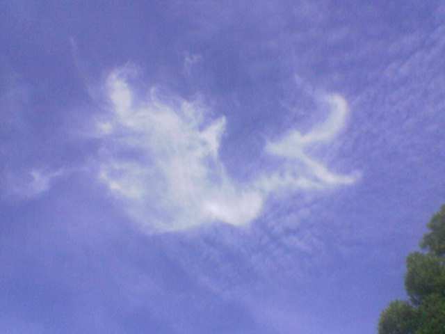 syauqahwardah: THE SIGN OF ALLAH....