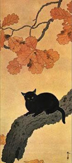 Munen Mushin: Técnicas de um gato velho