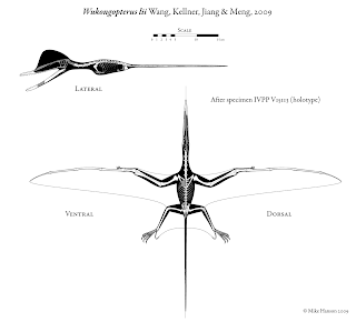 Kellner descreveu mais um pterossauro chinês | Ikessauro