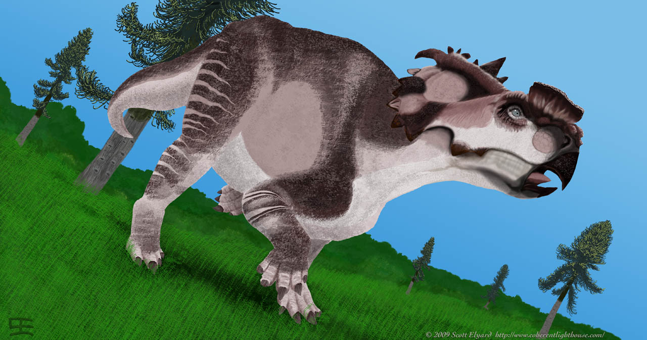 Paquirrinossauro | Ikessauro