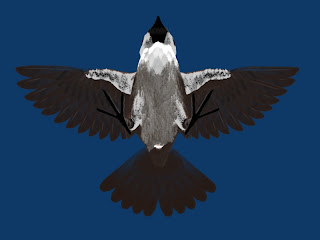 Bungang-Isip ni Matangdilis: Mesh ng Ibong Maya