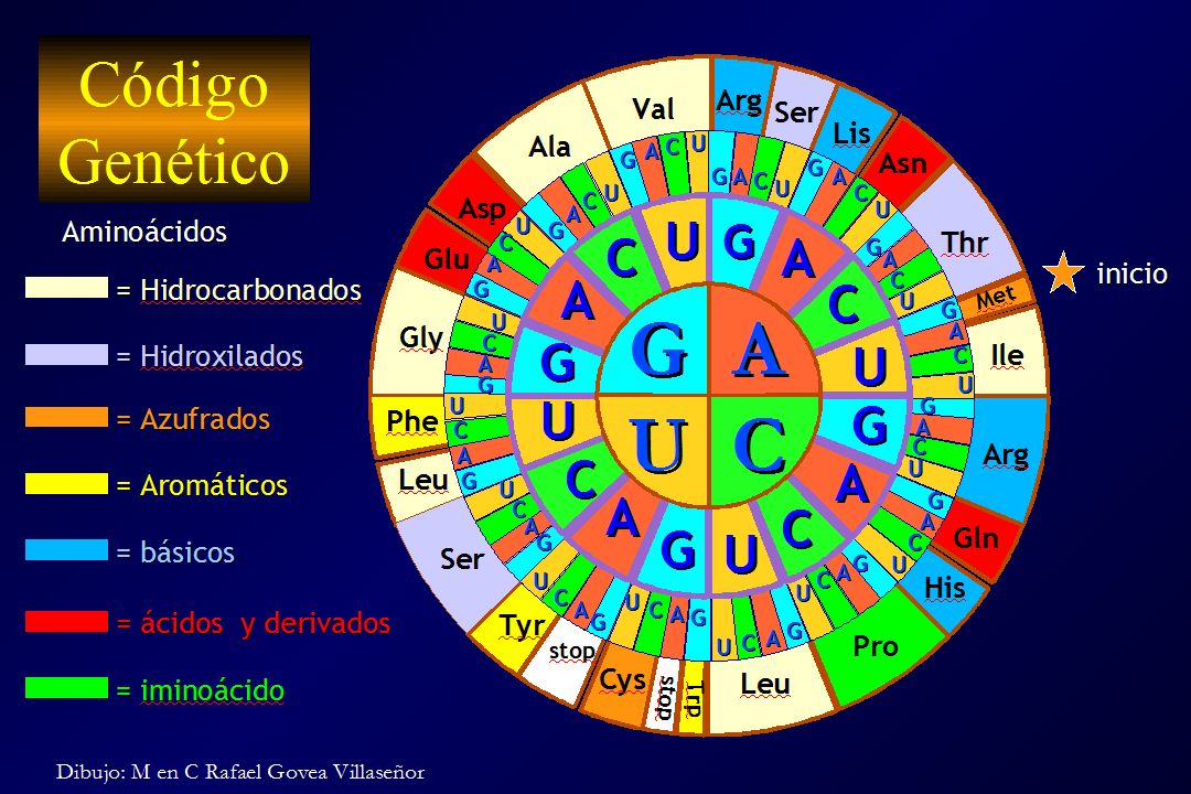 Biología1 C201: Flujo de Información