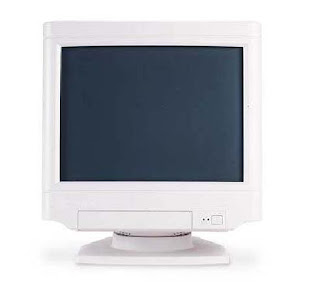 Computer Hardware: OUTPUT DEVICES