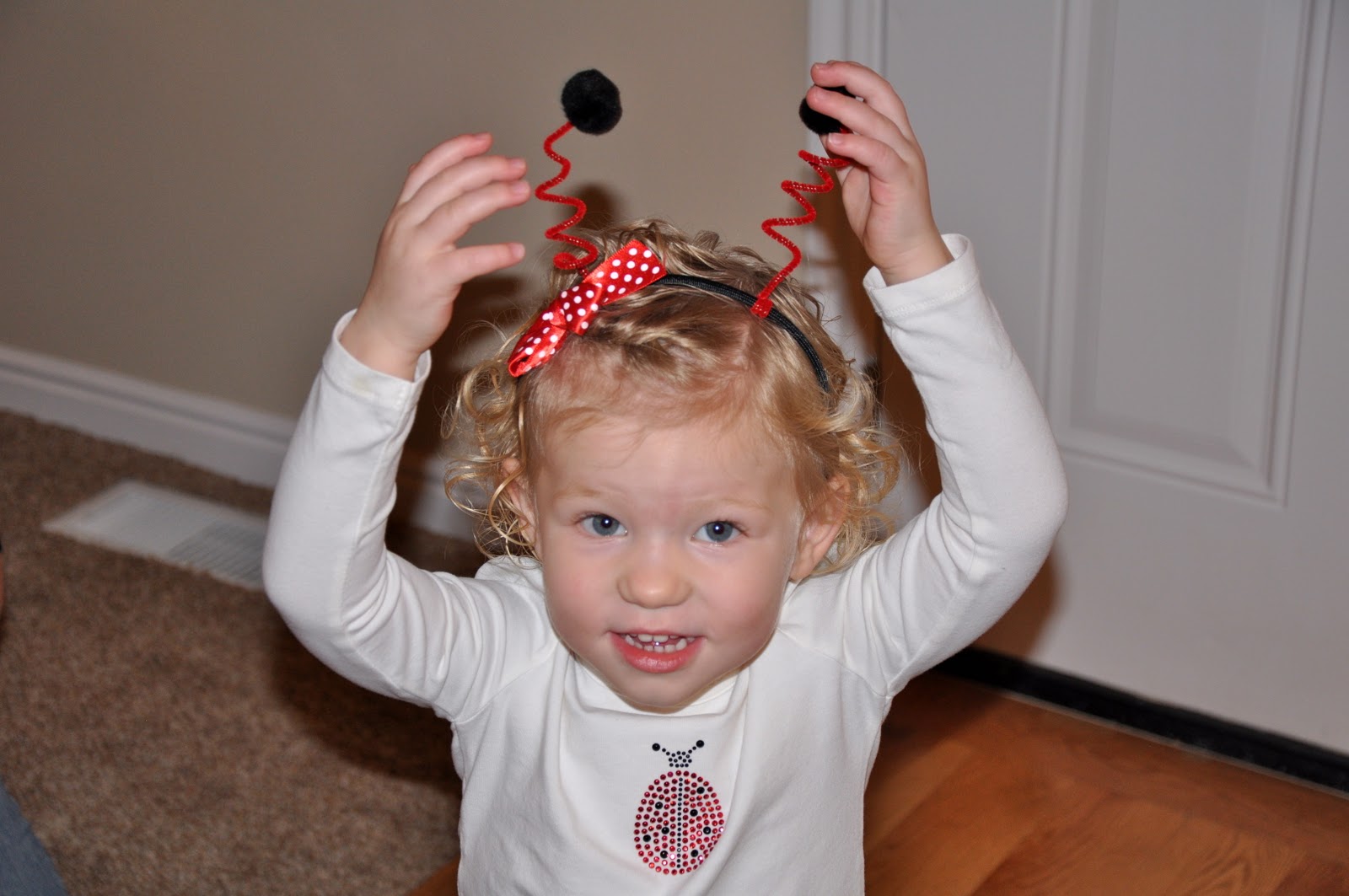 The Pages: Sydney's Ladybug Party