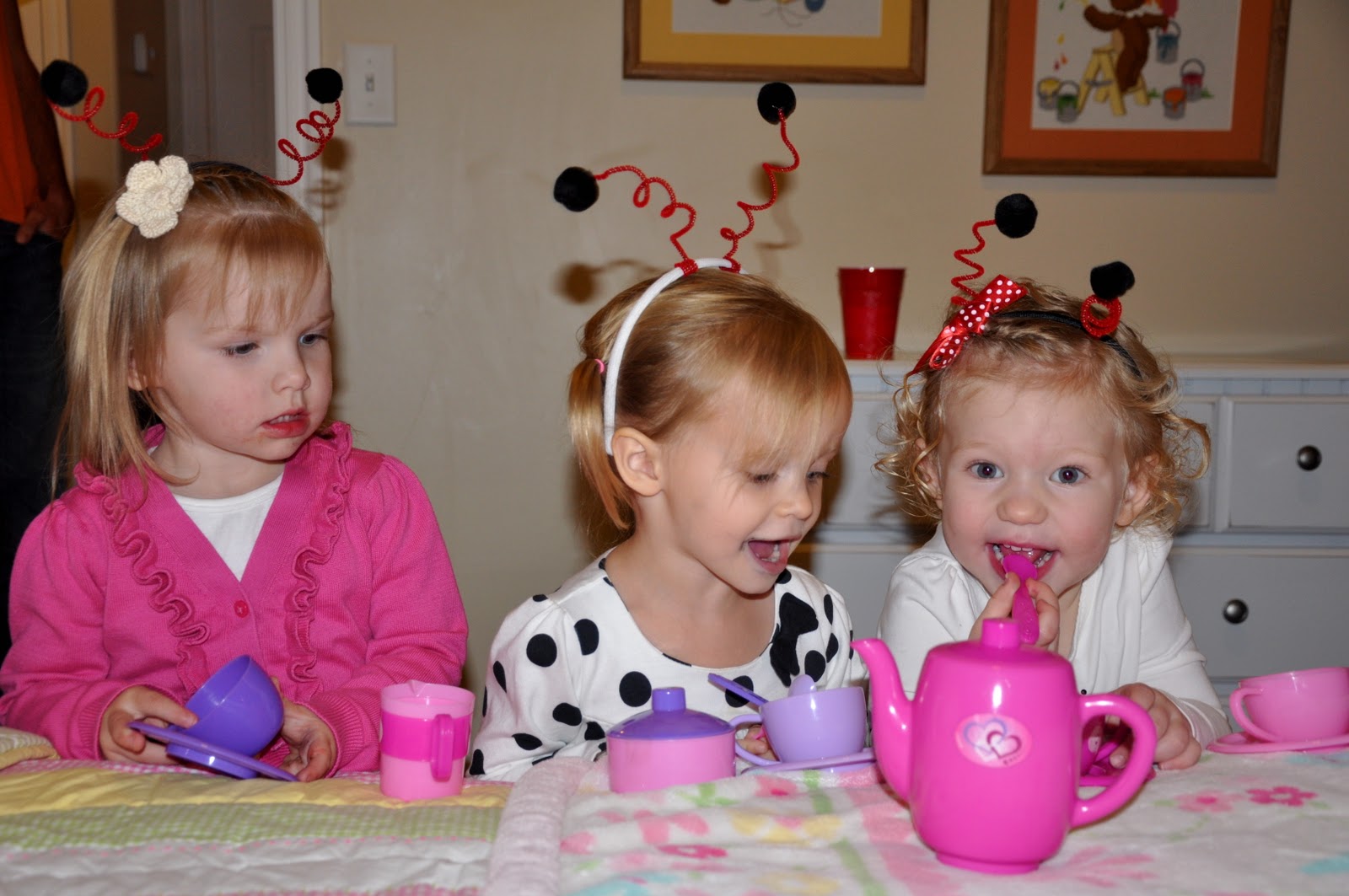 The Pages: Sydney's Ladybug Party