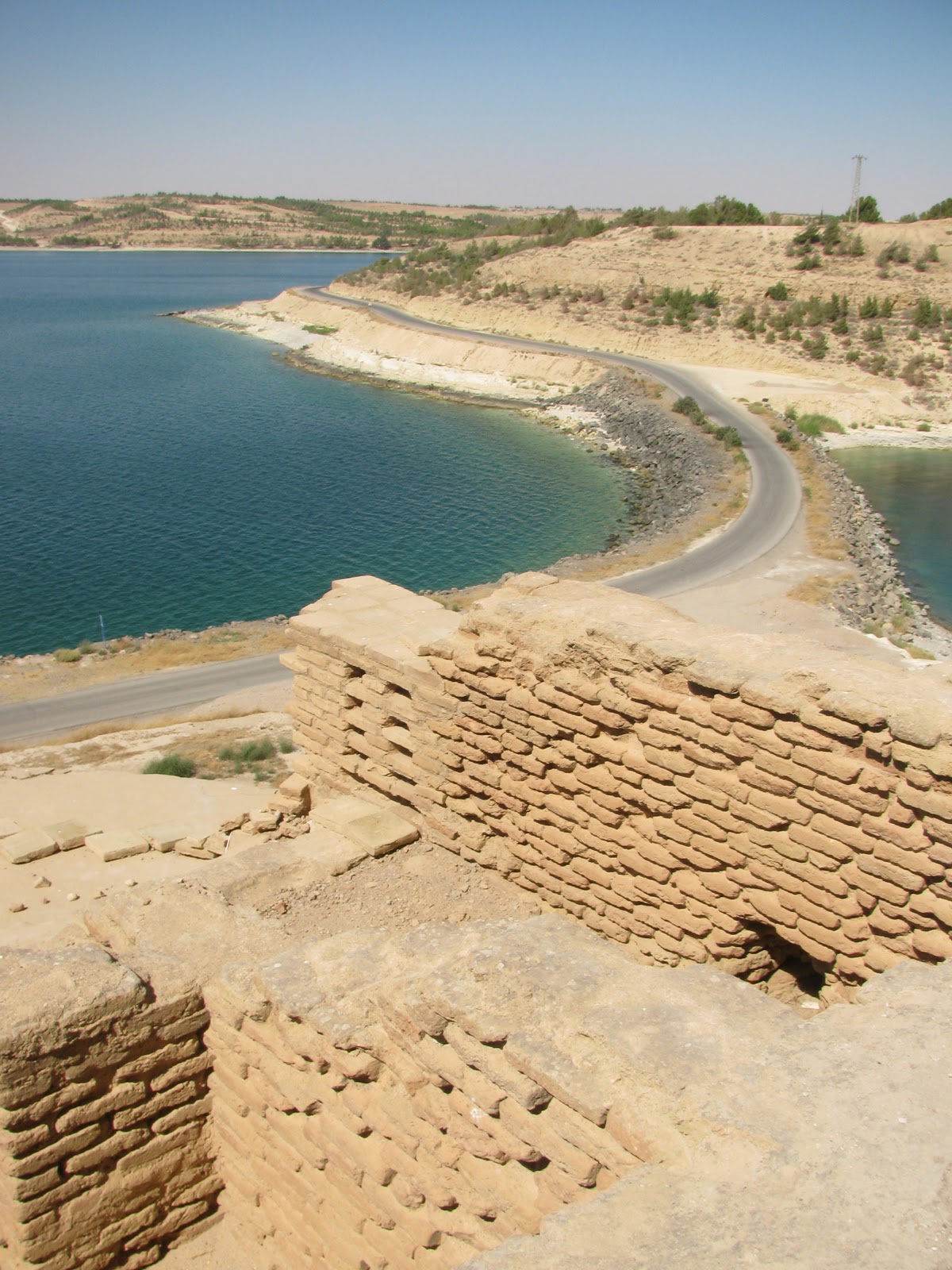 Points of Context: Swimming in Lake Assad