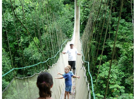 Natural Kids: Little Nature Guides!