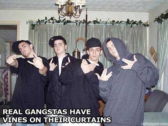 Rex Versus...: Losers throwing gang signs...