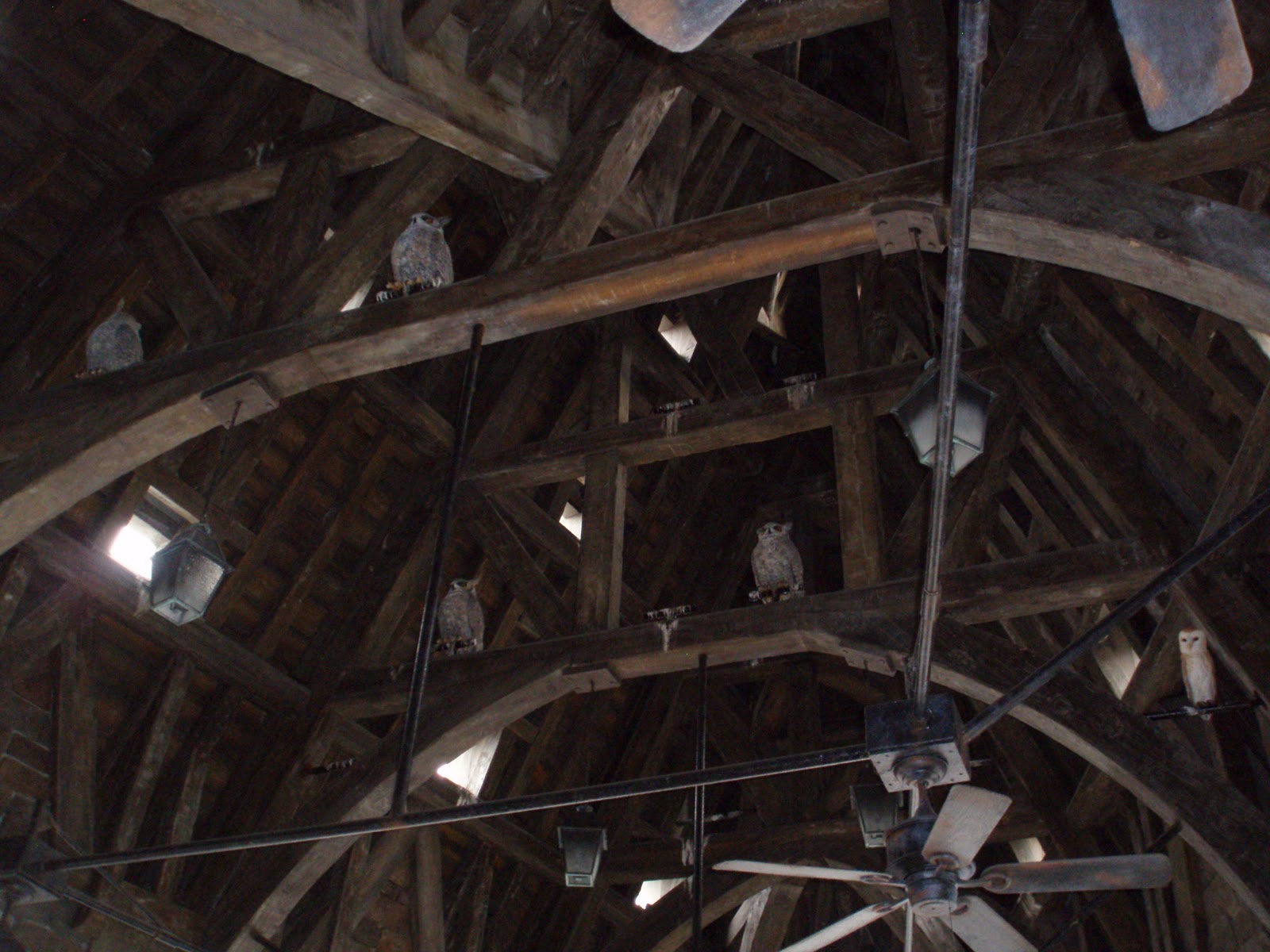 Debbie & Clay's Road Trips with Bob: Debbie turns 52 in Hogsmeade!