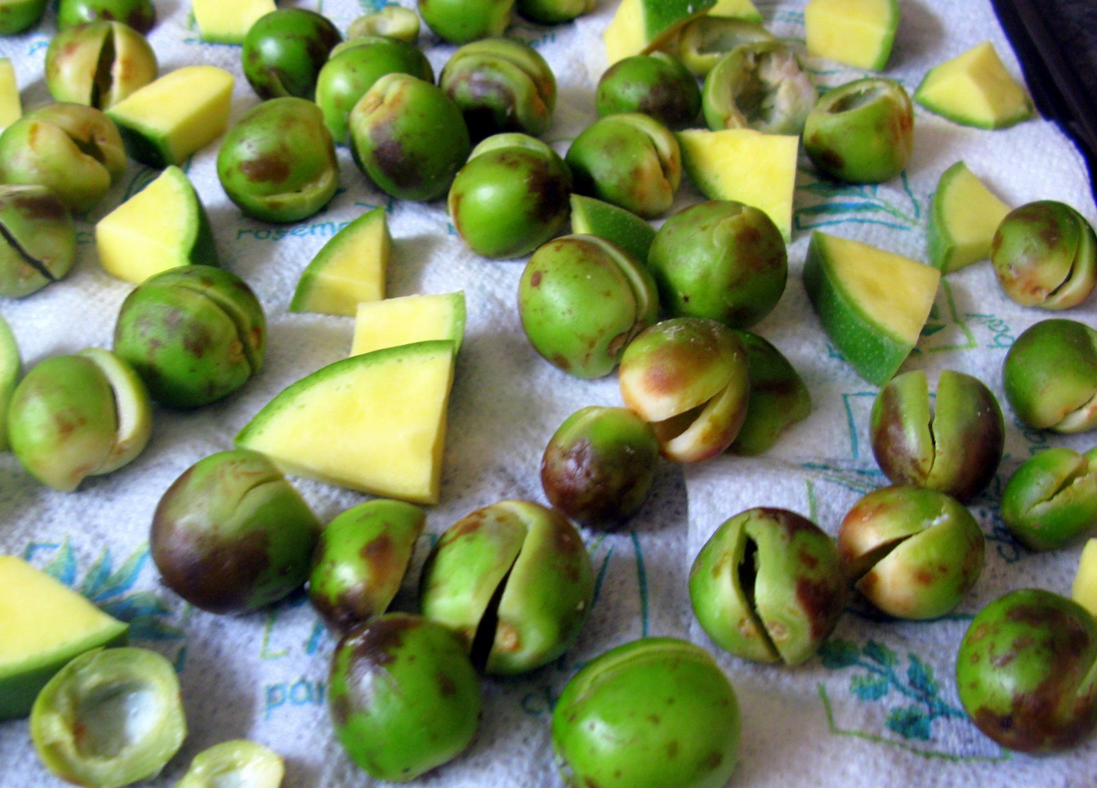 Chachi's Kitchen: It's Gunda time again