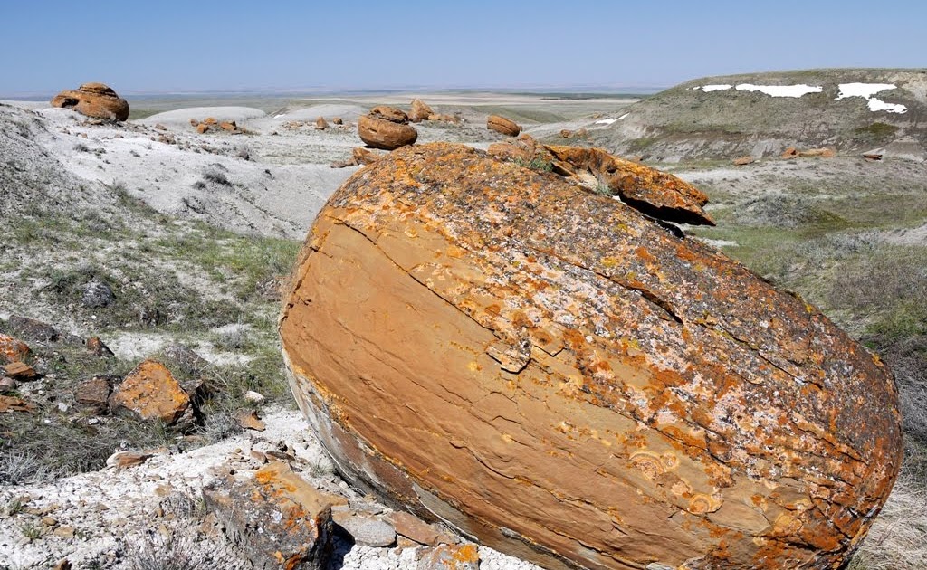 Never the same day twice!!: The middle of the bald-ash prairie!