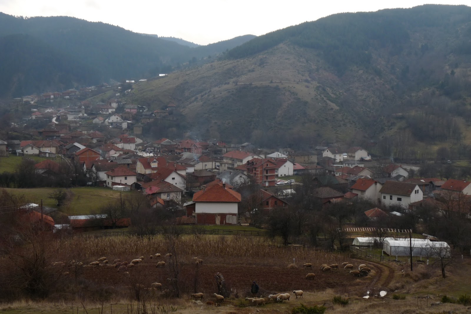 Export knowledge - Import art: The first phase of the project Export ...