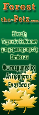 ΜΑΣΤΙΝΟ ΝΑΠΟΛΙΤΑΝΟ – ΜΑΣΤΙΦ ΝΑΠΟΛΗΣ.: ΣΥΝΤΟΜΟ ΠΟΡΤΡΕΤΟ ΓΙΑ ΤΟ ΜΑΣΤΙΝΟ ...