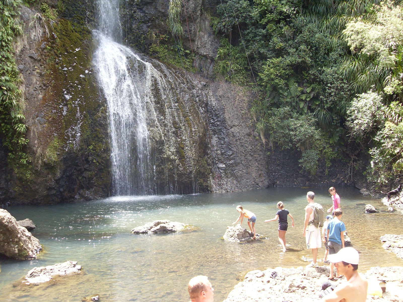 New Zealand Here I Come!: Waitakere Ranges Regional Park