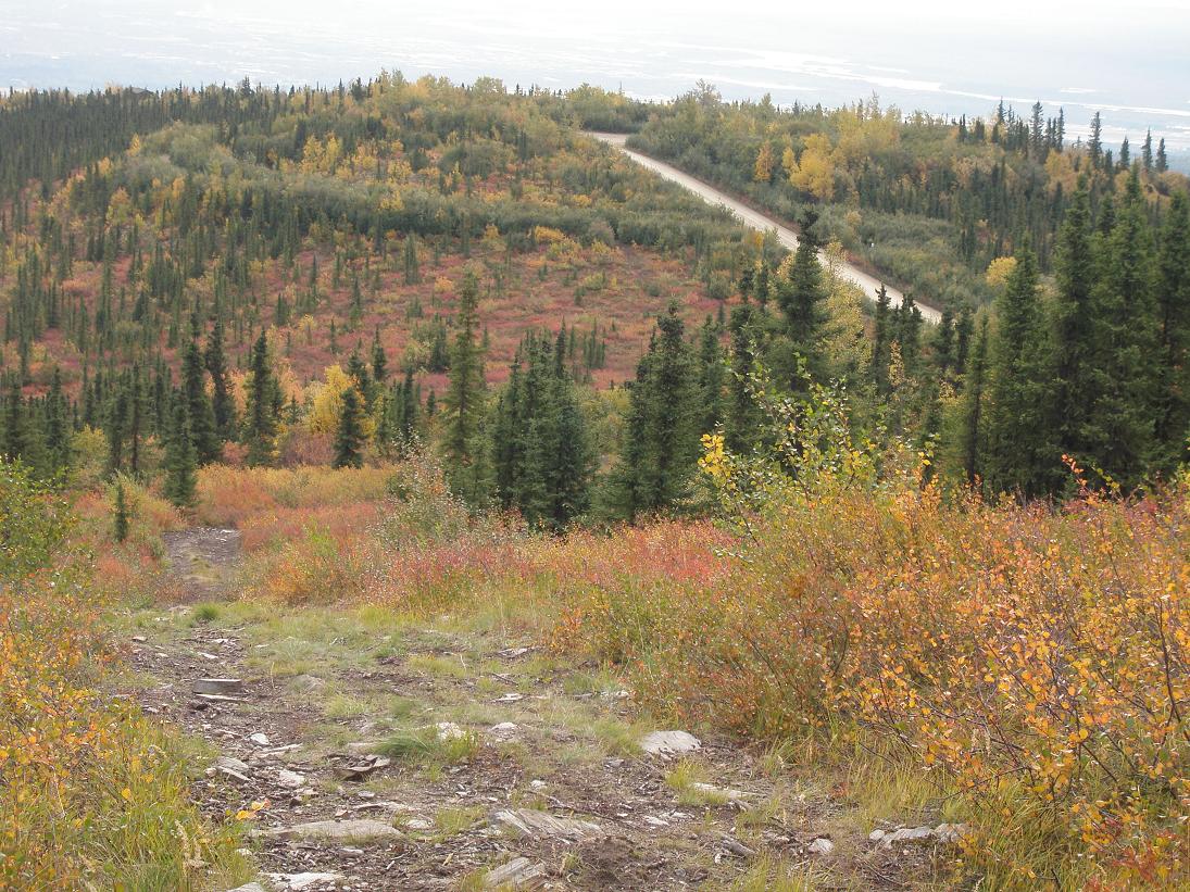 From the Silicon to the Tanana Valley: Fall photos