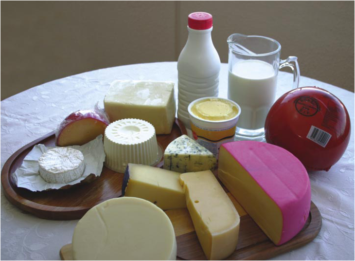 Agropecuária e Agroecologia: Os Laticínios