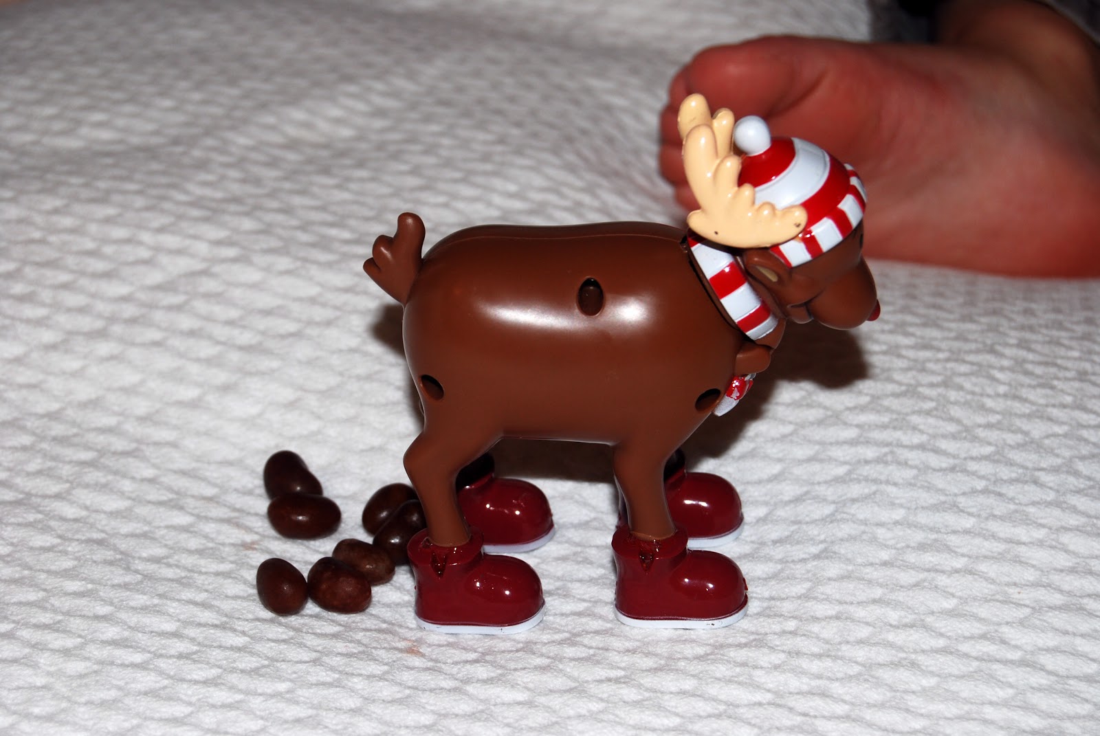 The Exnicious Page: reindeer poop