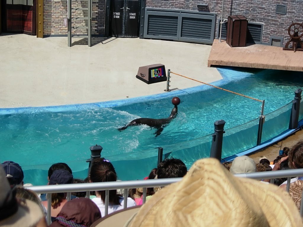 The Dilettante Photographer: Sea lion and otter show, Sea World, San Diego
