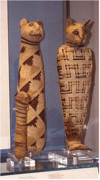 Burial Customs Over Egyptians Mummification Of Animals Burial Customs Over Egyptians Mummification Of Animals