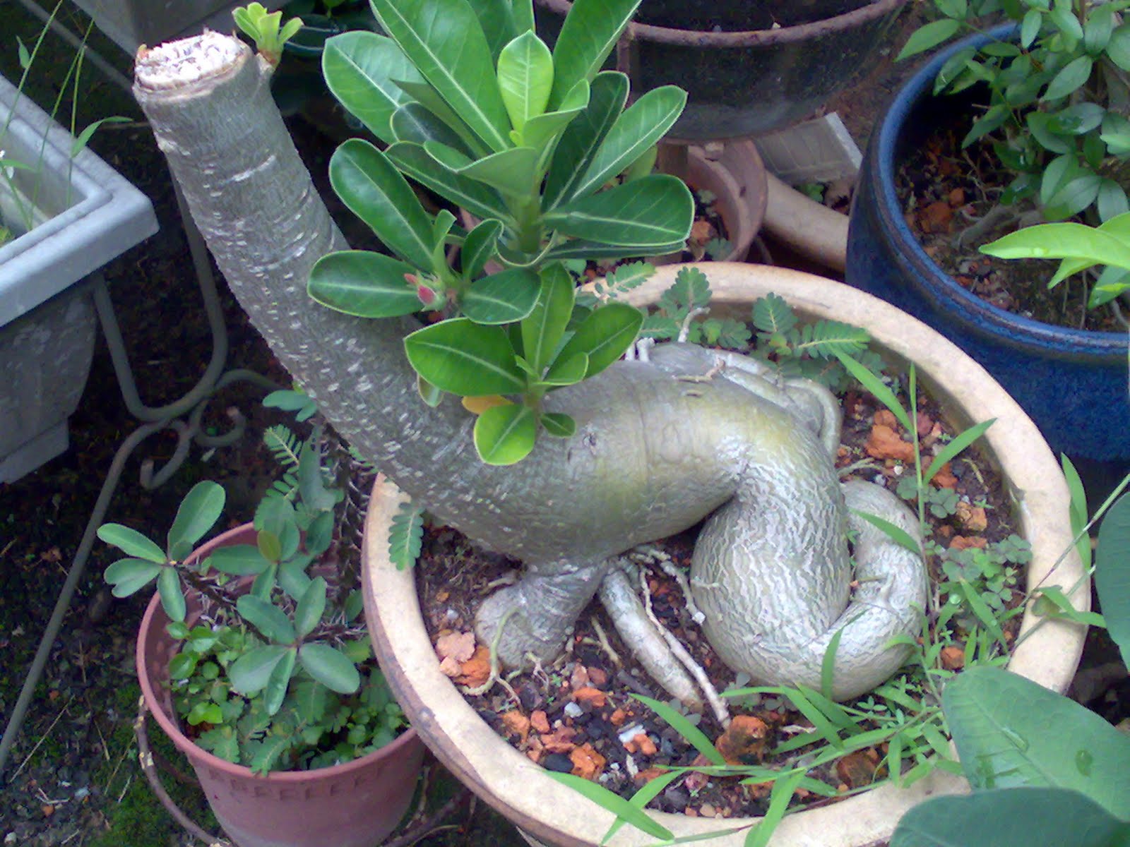 LEBIH BAIK JADI BEKAS ORANG JAHAT DARI BEKAS ORANG BAIK: BERBUDI PADA ...