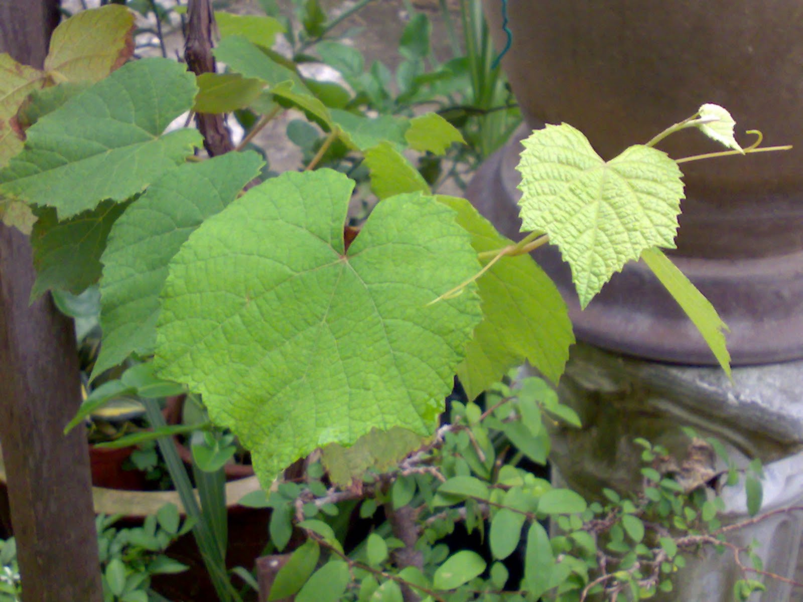 LEBIH BAIK JADI BEKAS ORANG JAHAT DARI BEKAS ORANG BAIK: BERBUDI PADA ...