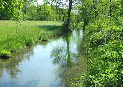 Parco Ticino - Itinerario 1: Bosco Faggiole