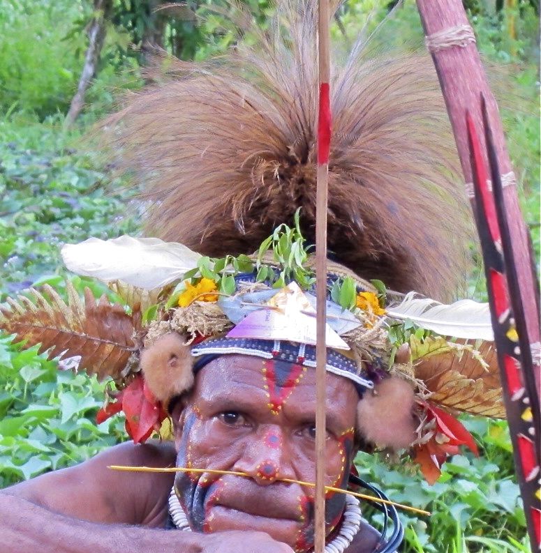 Bill of the Birds on Blogspot: Encountering the Warrior