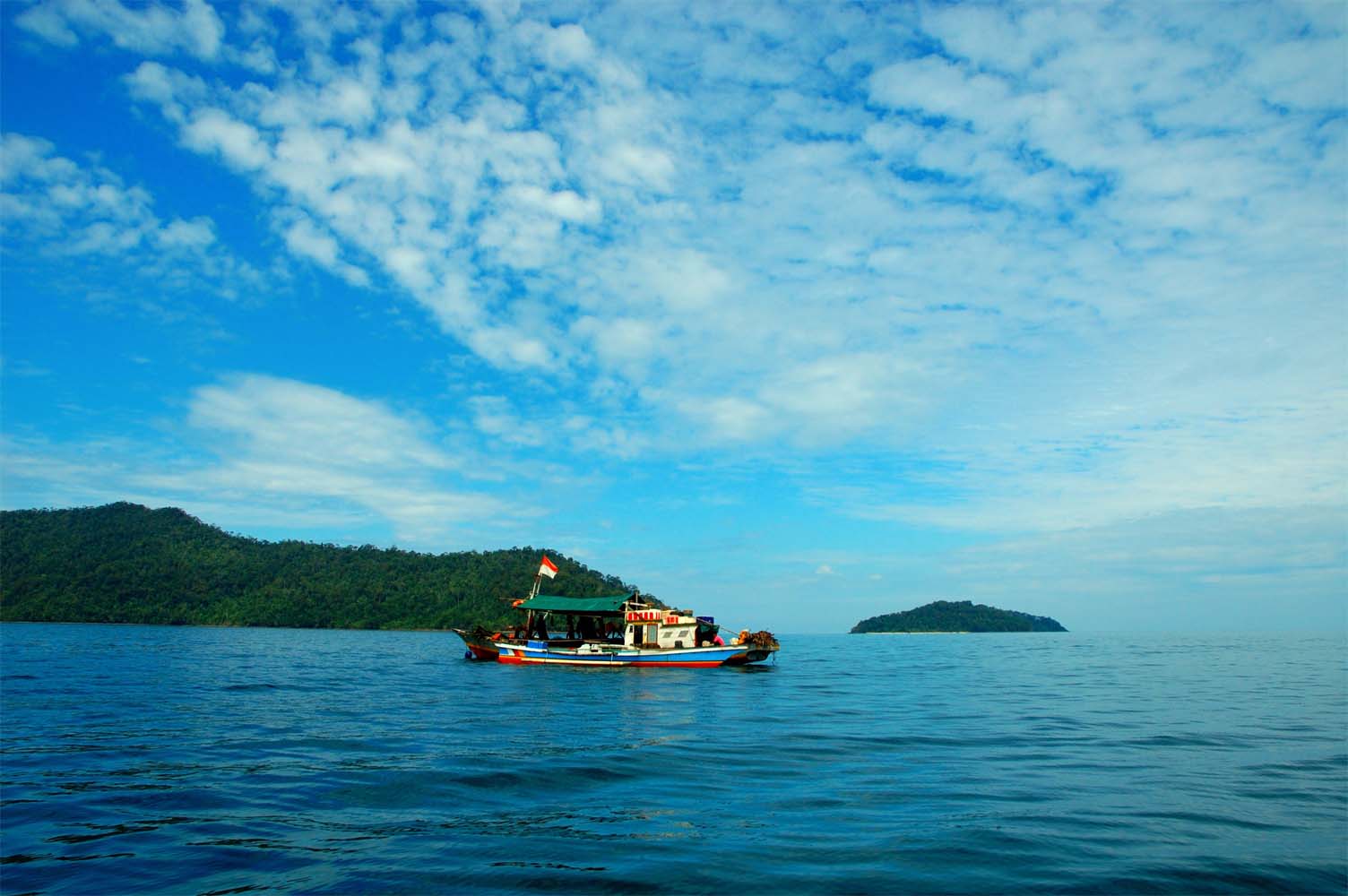 geografi lingkungan: CABANG ILMU GEOGRAFI