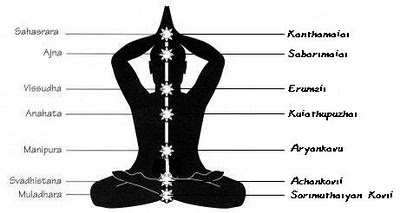 Sanatana Dharma: The Six Sastha Temples and the Shat Chakras