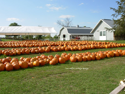 Lori Miller's Round Barn Potting Company: Pumpkin Patch ~ Home Grown