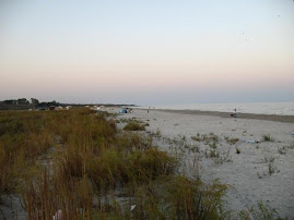 TERENURI CORBU: Mamaia Nord-Loturi de teren langa plaja