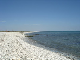 TERENURI CORBU: Mamaia Nord-Loturi de teren langa plaja