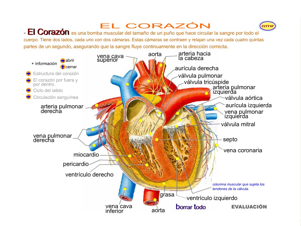 Información en la red: Recurso adecuado para mi unidad didáctica.