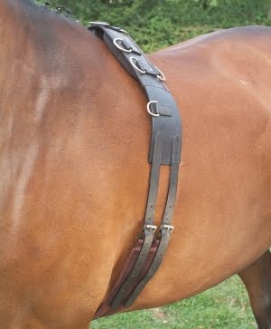 Theory Thursday: Intermediate: Lunging