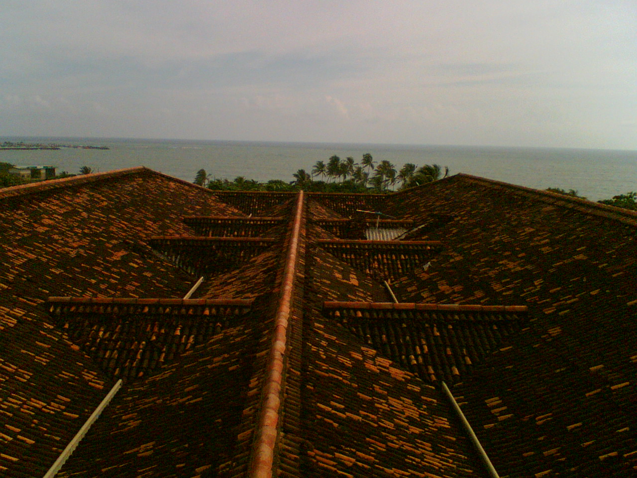 SriLankan Beautiful Nature: University of Ruhuna