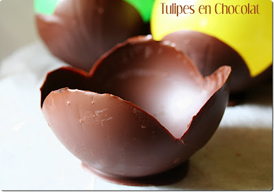 Tulipes Chocolatées