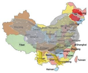 Wandering Solo: Chinese Chicken