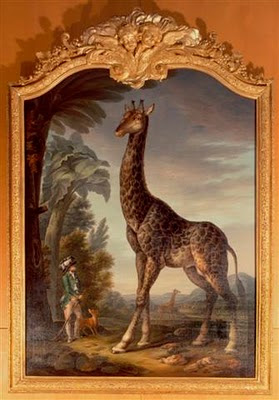 * wunderkammer *: La jirafa del rey / The king's giraffe
