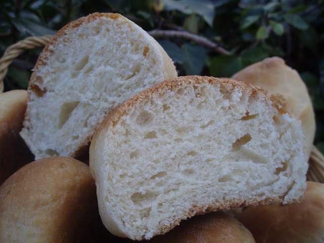 PAN DE VIENA - PASEN Y DEGUSTEN