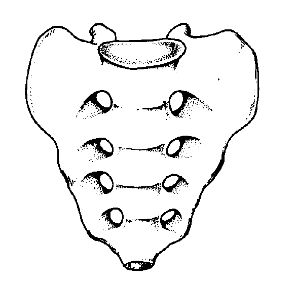 Faith Raspberry: skeleton