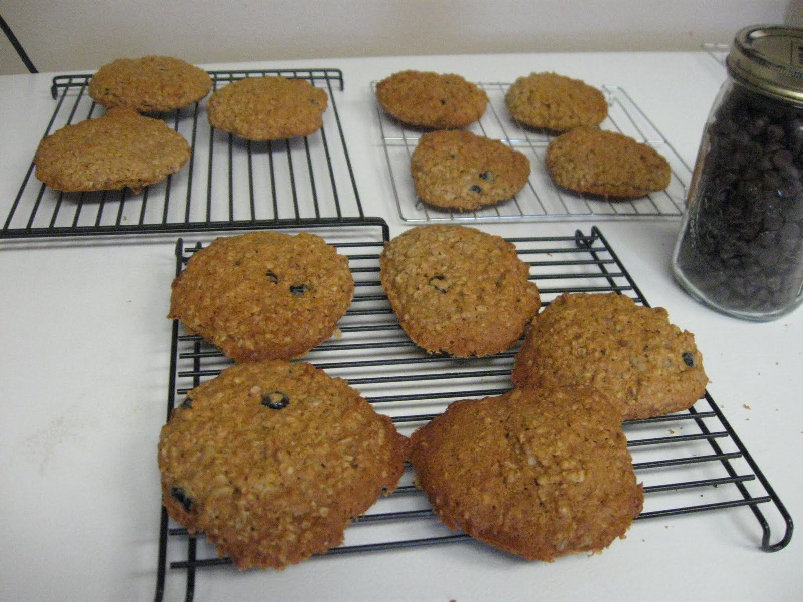 Bacon and Eggs : Scalloped Dehydrated Potato's / Oatmeal Cookies