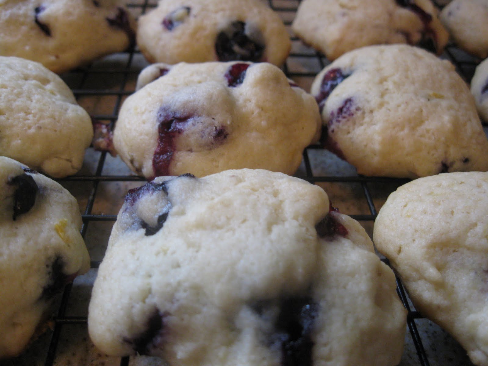 I Hope You're Hungry: Blueberry Drop Cookies