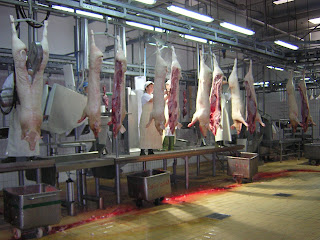 Get The Right Meat | Enter your blog name here