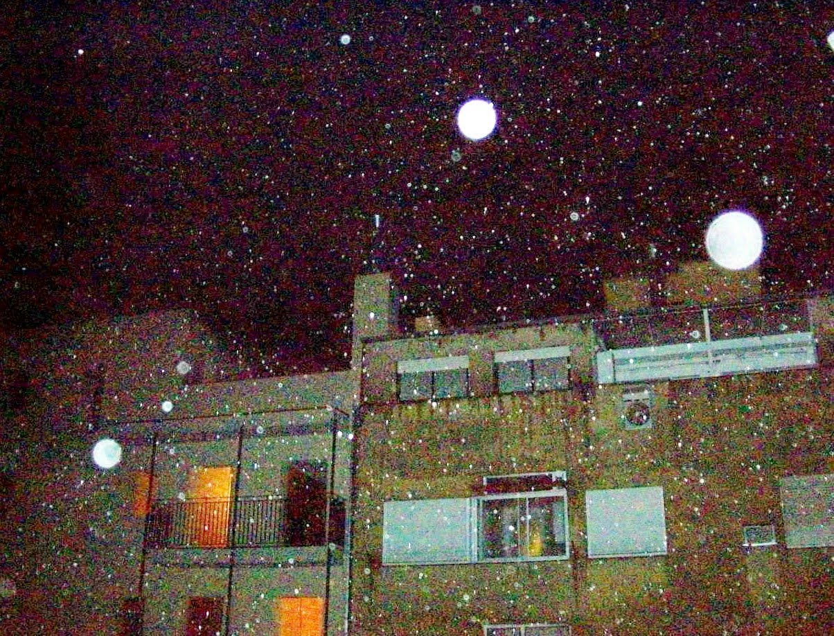 COSMOECOLOGÍA: ORBS - ORBES