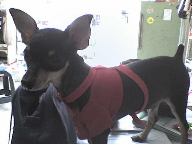 españa en el mundial