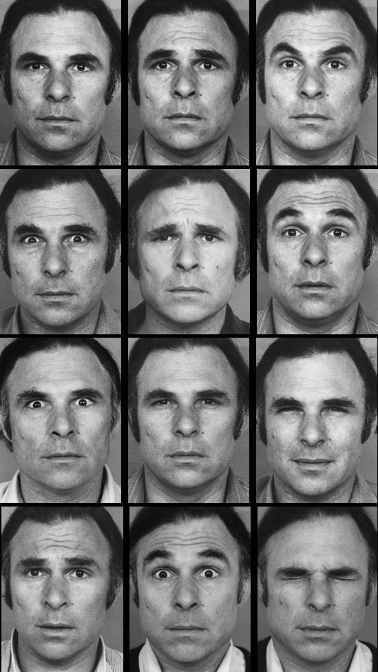 paul ekman facs - Google Search | Education | Facial expressions ...
