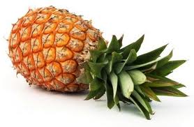 EDAKKALATHUR VILLAGE: painapple tree